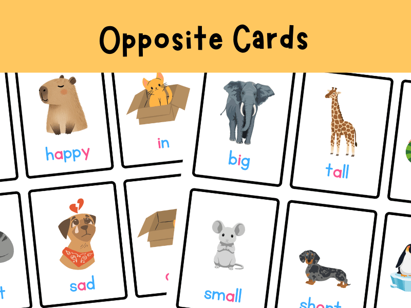 EYFS Opposites Cards - Revolutionary Education